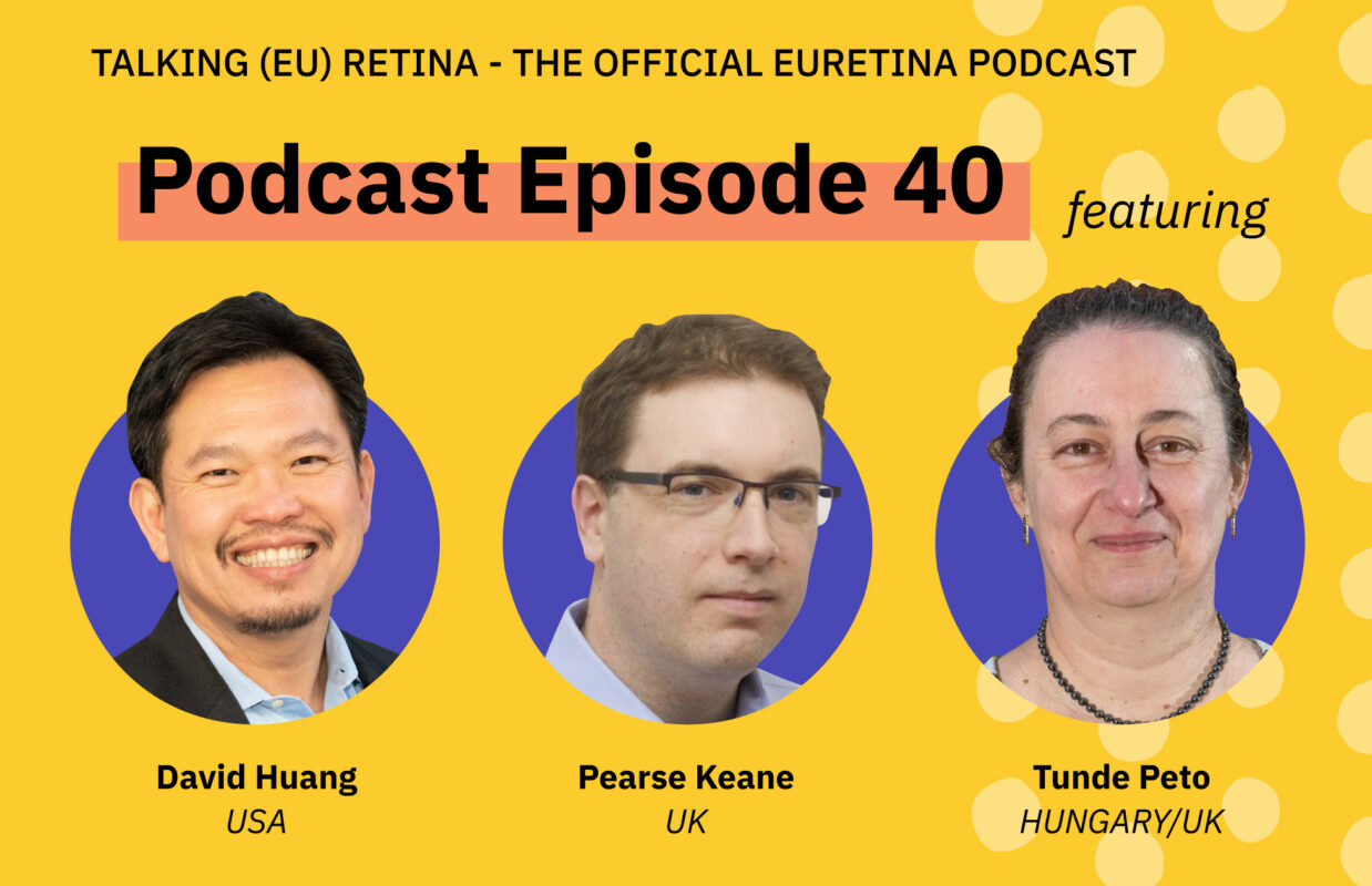 Browse open content – EURETINA