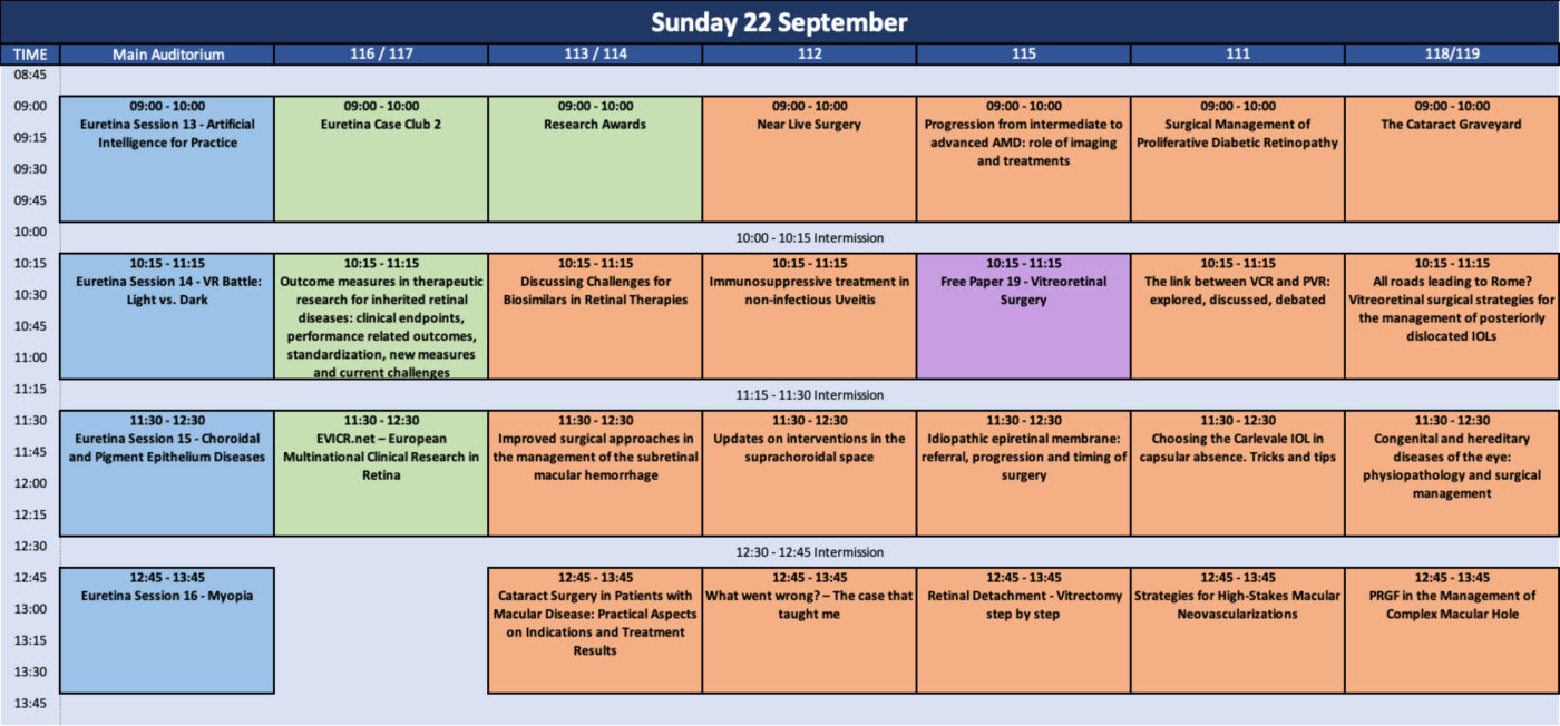 Programme – EURETINA